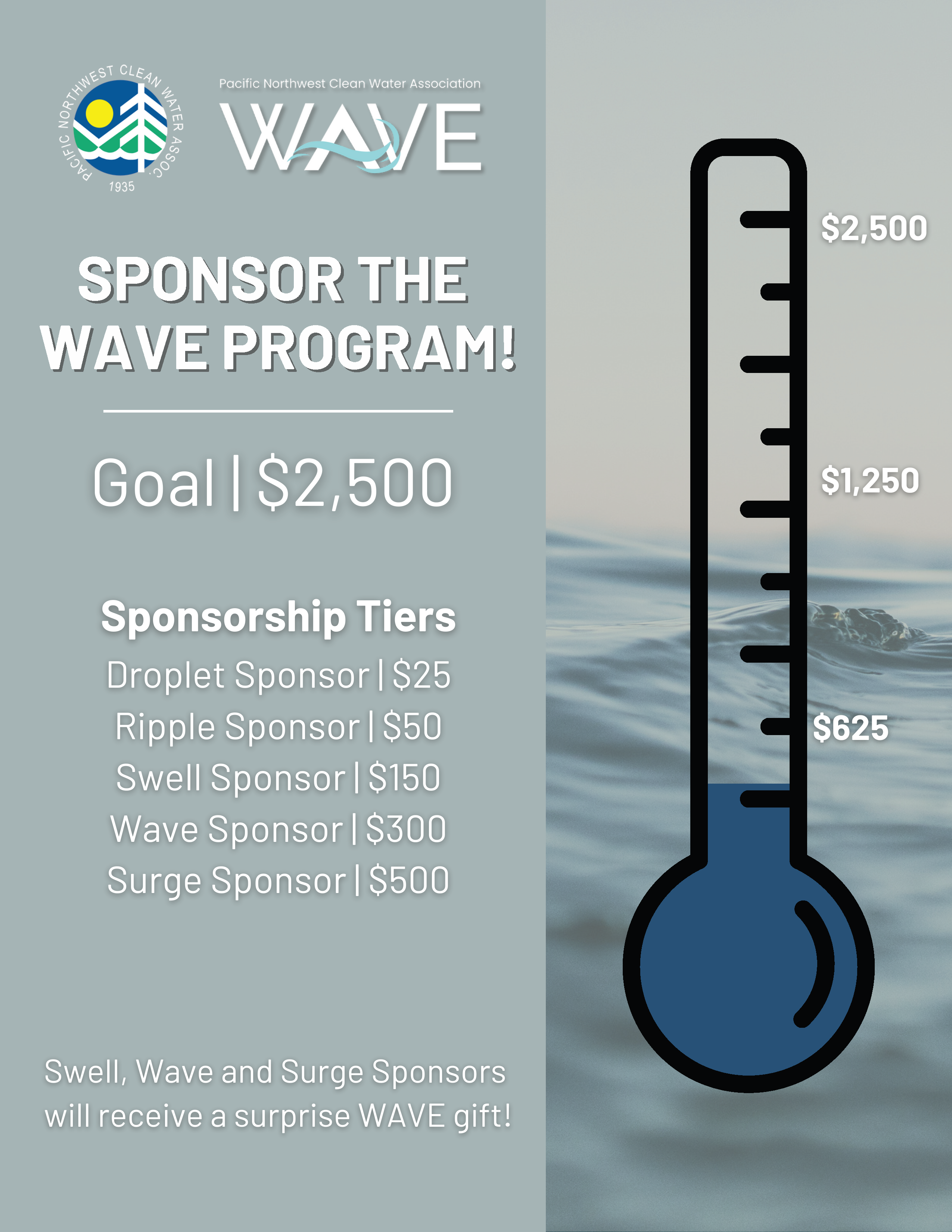 Support the 2024 WAVE Program!